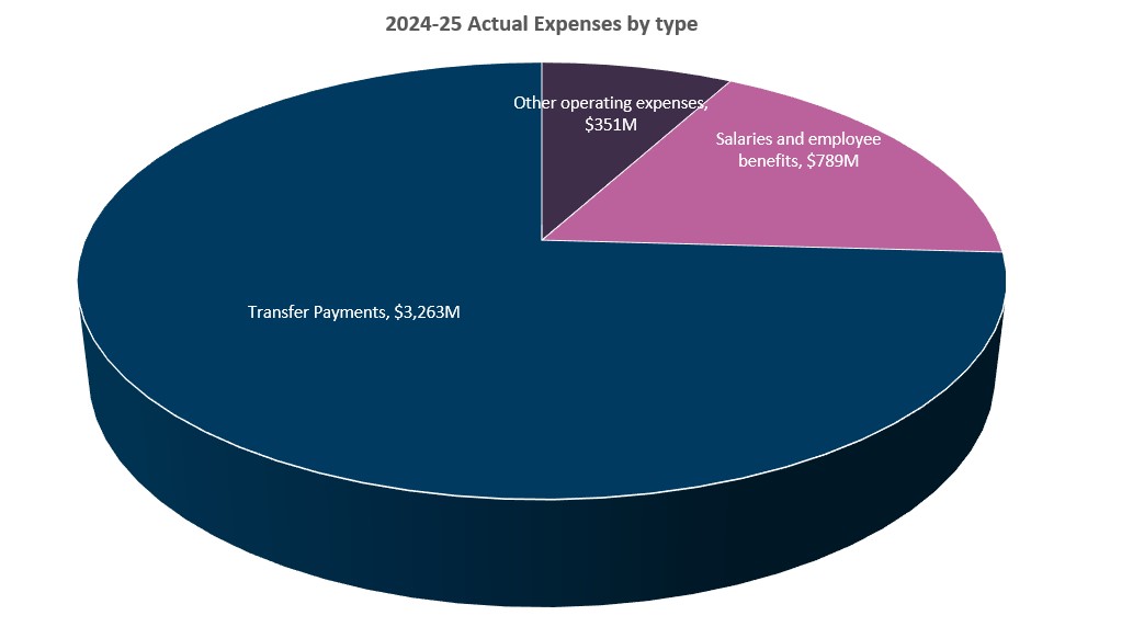 Chart presenting NRCan’s actual expenses by type for 2024-25 - Natural ...